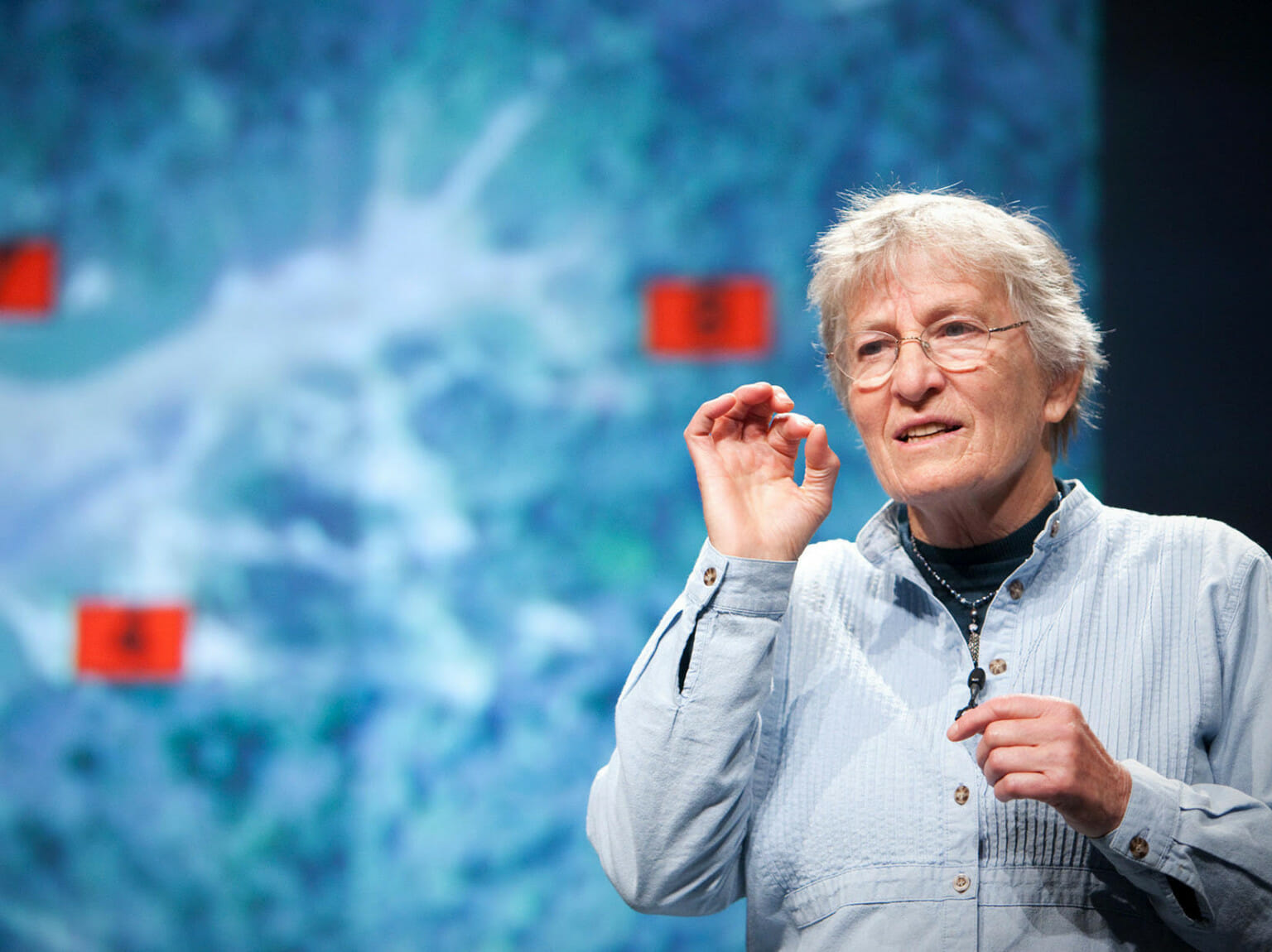 Katy Payne – OneBeat